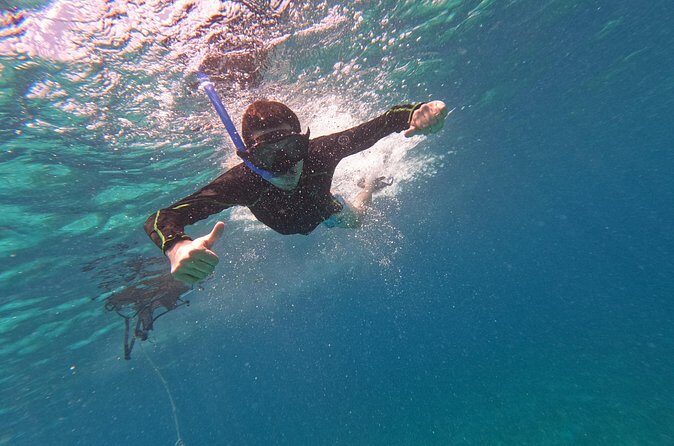 Chankanaab Park entrance ticket with snorkeling and buffet included - Why This Tour Stands Out