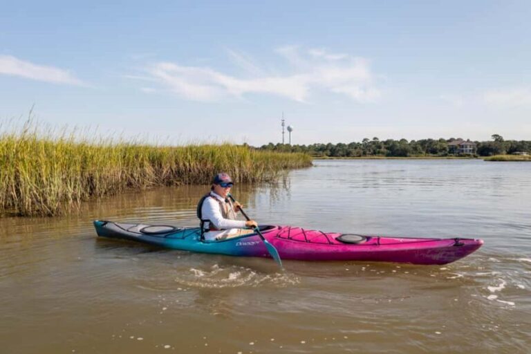 Charleston: Folly River Sunset Kayak Dolphin Safari - The Itinerary & Experience Breakdown