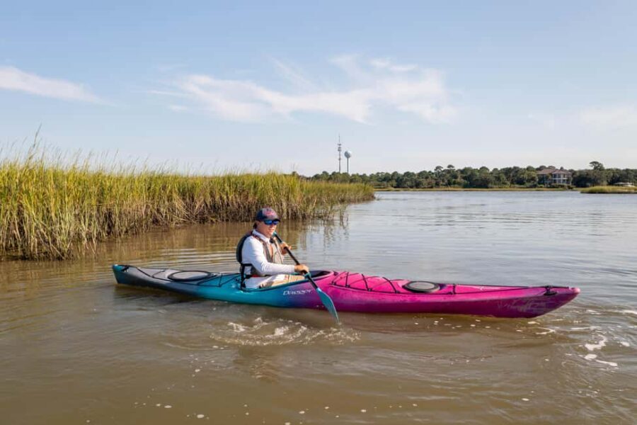 Charleston: Folly River Sunset Kayak Dolphin Safari - The Itinerary & Experience Breakdown