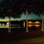 Charleston: Holiday Festival of Lights Tour with S'mores Kit - The Charm of Charleston’s Festival of Lights