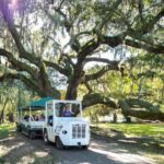 Charleston: Magnolia Plantation & Gardens Guided Tour - The Itinerary: What You Can Expect