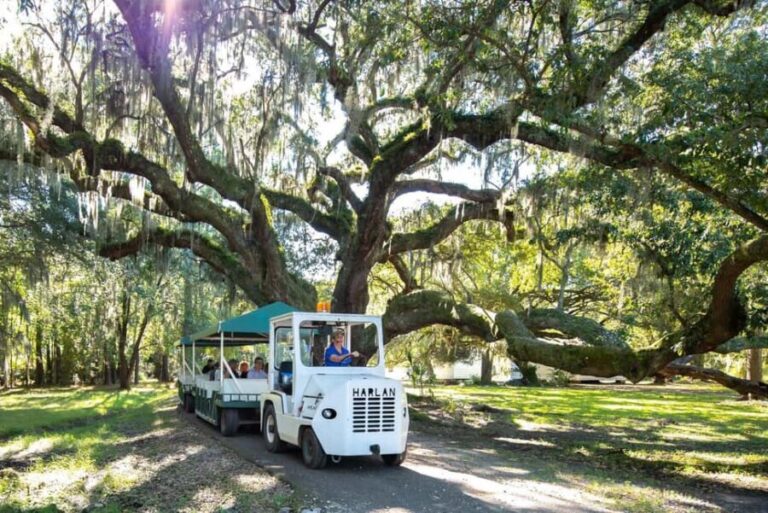 Charleston: Magnolia Plantation & Gardens Guided Tour - The Itinerary: What You Can Expect