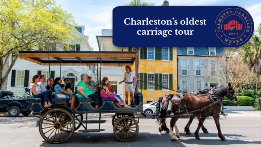 Charleston, SC: Private Daytime Horse-Drawn Carriage Ride - Exploring the Tour Itinerary in Detail