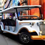 Charlotte: Historical Southern Elegance Tour by Vintage Cart - The Charm of a Vintage Cart Experience