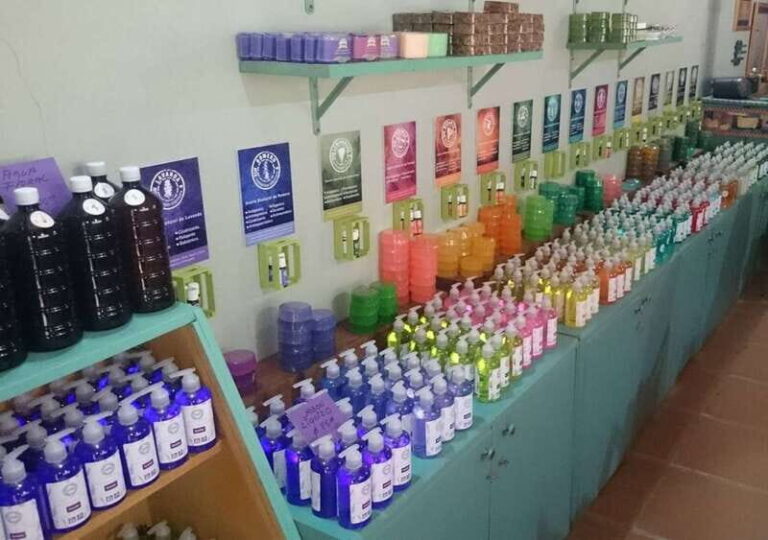 Chautla's Castle, Lavender Farm, and Valquirico Private Tour - Visiting Chautla Castle: a fairy-tale setting