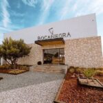 Cheese and Wine Route with 2 Towns, starting from Querétaro - Cheese Factory and Bocanegra Cava de Quesos