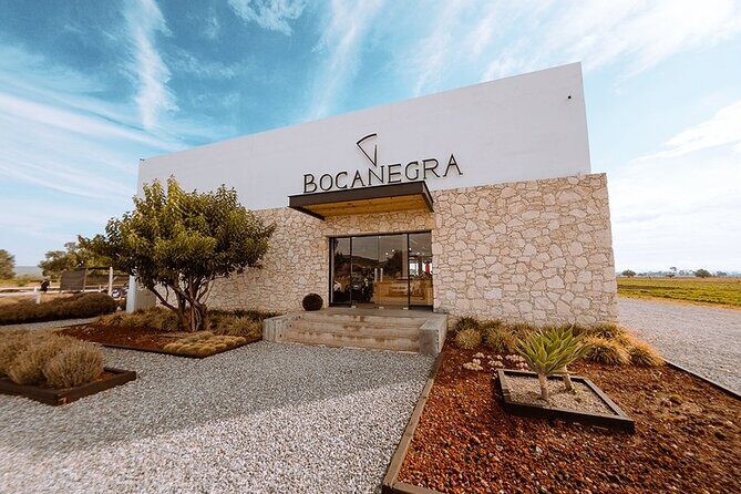 Cheese and Wine Route with 2 Towns, starting from Querétaro - Cheese Factory and Bocanegra Cava de Quesos