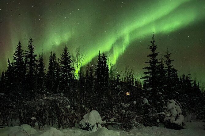 Chena Hot Springs Northern Lights Aurora Borealis From Fairbanks - Practical Details: What You Need to Know
