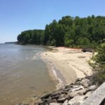 Chesapeake Beach: Guided Walking Tour to The Cliffs - Who Will Love This Tour?