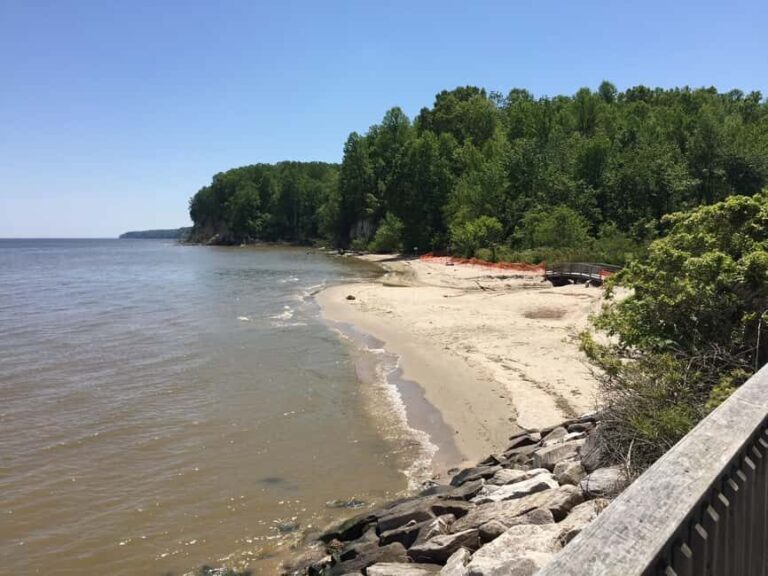 Chesapeake Beach: Guided Walking Tour to The Cliffs - Who Will Love This Tour?