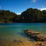 Chiapas: El Chiflón Waterfalls and Montebello Lakes Tour - What Travelers Say