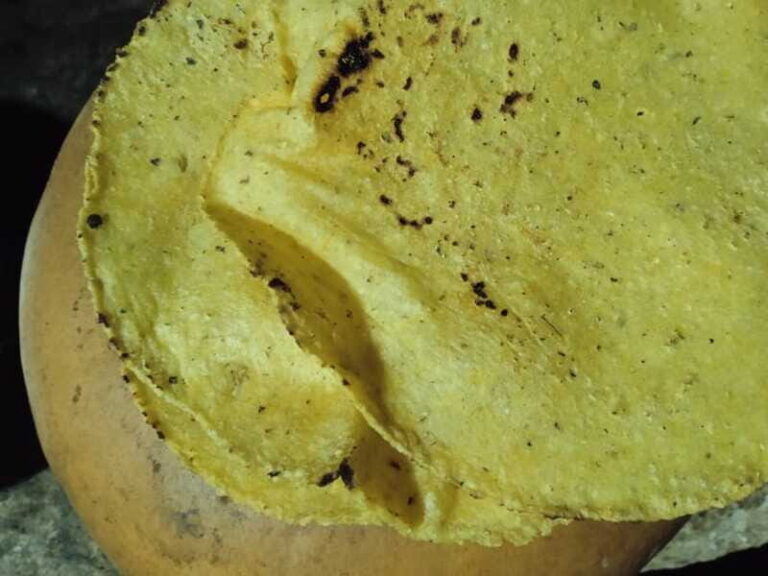 Chiapas Highlands: Ancient Rituals and Traditions Tour - Why This Tour is Ideal for Certain Travelers