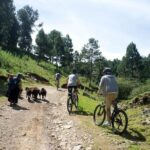 Chiapas Indigenous Villages and Mountain Bike Tour - The Itinerary In-Depth: What to Expect at Each Stop