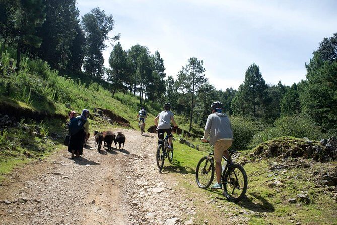 Chiapas Indigenous Villages and Mountain Bike Tour - The Itinerary In-Depth: What to Expect at Each Stop