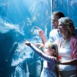 Chicago: 1-5 Day Attraction Pass with Shedd Aquarium - The Real Benefits and Considerations