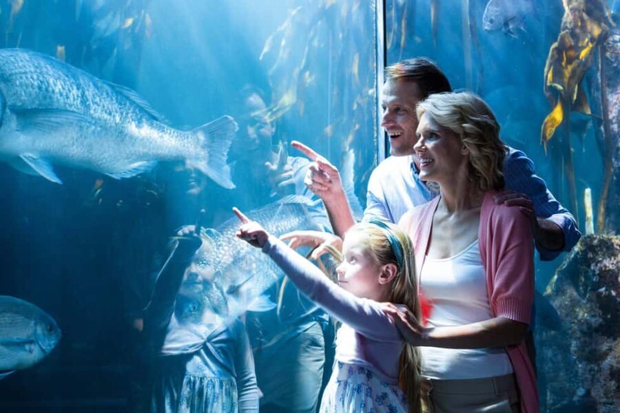 Chicago: 1-5 Day Attraction Pass with Shedd Aquarium - The Real Benefits and Considerations