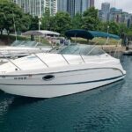 Chicago City Boat Tours - Who Will Love This Experience?