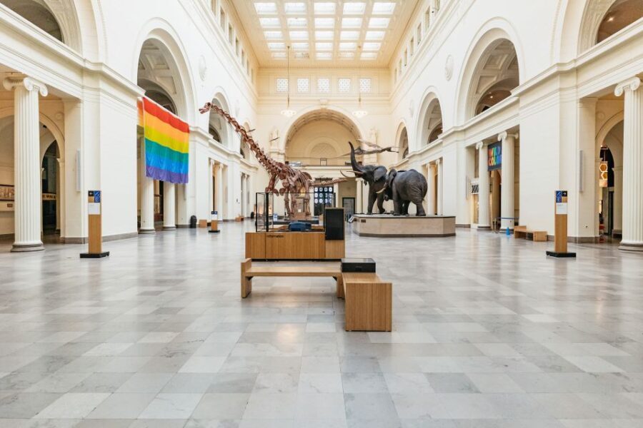 Chicago: Field Museum of Natural History Ticket or VIP Tour - A Closer Look at the Experience