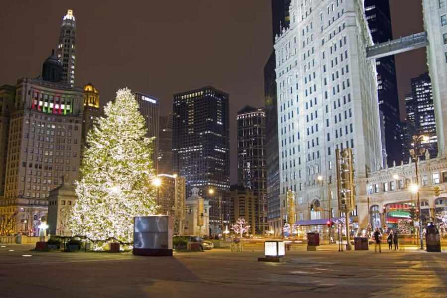 Chicagos Festive Lights: Private Magical Christmas Journey - The Experience in Detail