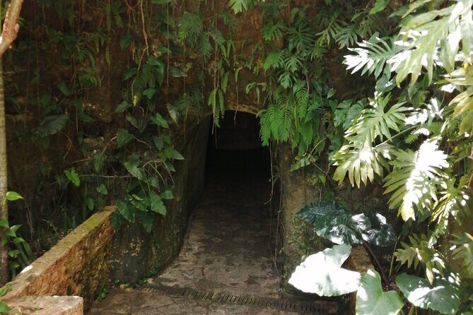 Chichen Itza, and Cenote Tsukán PREMIUM - Cenote Tsukán: Refreshing Natural Wonder