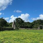 Chichen Itza Mayan Flavors and Jungle at Hacienda Privada with Cenote - A Full Breakdown of the Experience