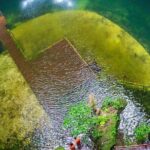 Chichen Itza Tour Plus with Cenote Swim from Cancun & Playa Del Carmen - Final Word: Who Will Love This Tour?