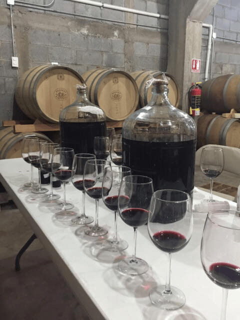 Chihuahua: Insignia Winery Wine Tasting Experience - Why This Tour Offers Great Value