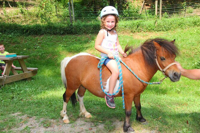 Children Mini Horse Rides - Things to Consider