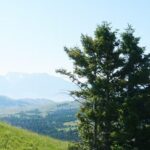 Chimney Rock Trail Ride - Price and Value