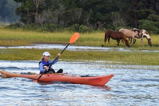 Chincoteague Kayak Rentals around Assateague Island - Who Will Love This Experience?