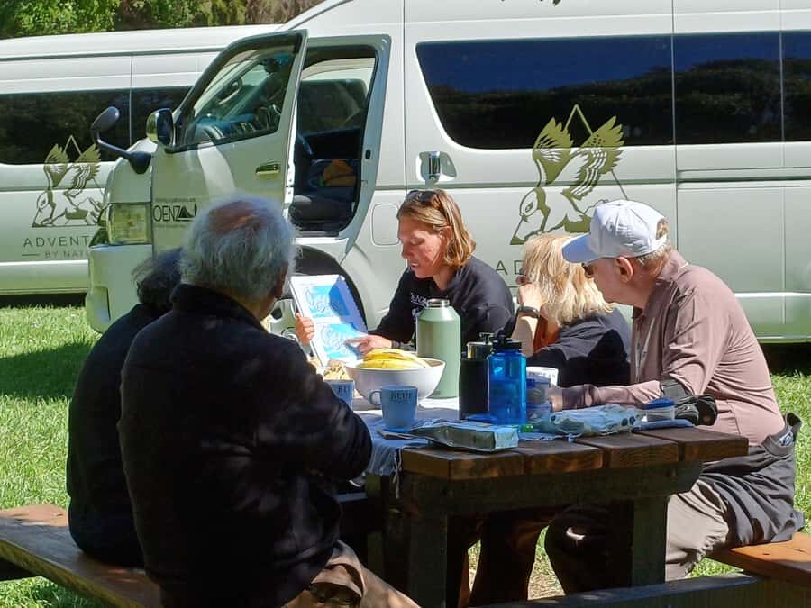 Christchurch: Akaroa and Banks Peninsula Day Trip - The End of the Day: Returning to Christchurch