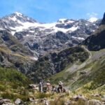 Christchurch: Arthurs Pass & Castle Hill Private Tour - What to Expect and Practical Details