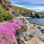 Christchurch: Guided Crater Rim Walk with Coastal Scenery - Why This Tour Offers Great Value