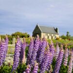 Christchurch: Lake Tekapo Stargazing & Mount Cook 2-Day Tour - Detailed Breakdown of the Experience