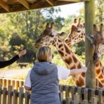 Christchurch: Orana Wildlife Park Admission - The Sum Up: Is It Worth Visiting?