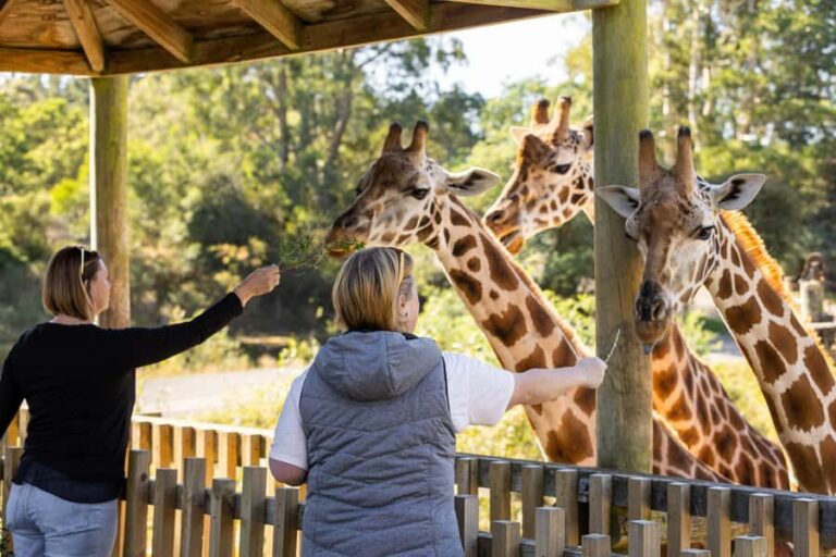 Christchurch: Orana Wildlife Park Admission - The Sum Up: Is It Worth Visiting?