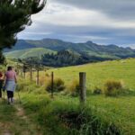Christchurch: Packhorse Hut Guided Walk and Scenic Drive - What Makes This Tour Stand Out?