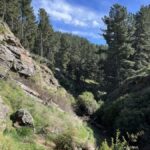 Christchurch: Port Hills Full-Day Trail Running Tour - Transportation, Group Size, and Overall Value