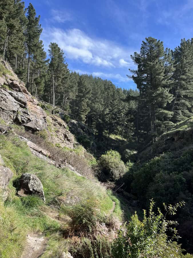 Christchurch: Port Hills Full-Day Trail Running Tour - Transportation, Group Size, and Overall Value