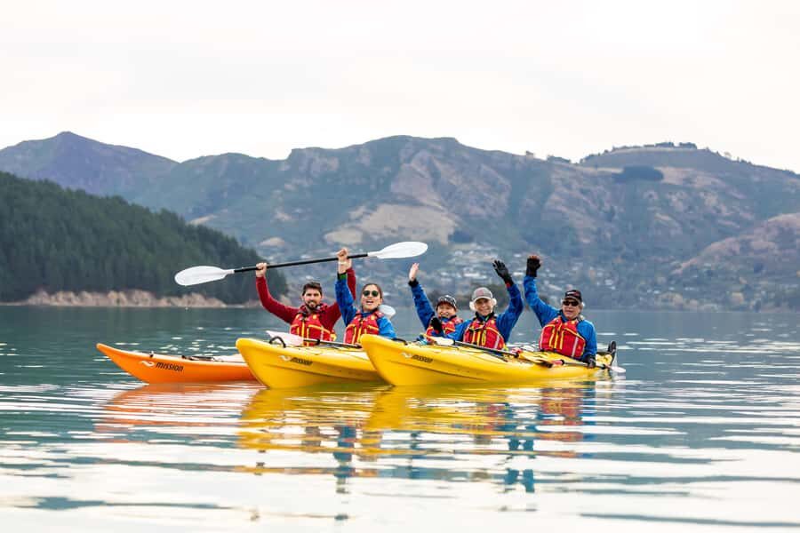 Christchurch: Sea Kayaking Tour of Lyttelton Harbour - What to Expect & Tips for a Great Experience