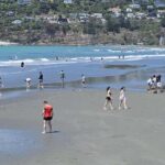 Christchurch Sightseeing & Lyttelton Harbour Tour - Practical Details & What to Expect