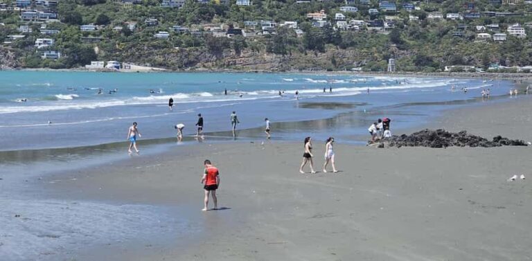 Christchurch Sightseeing & Lyttelton Harbour Tour - Practical Details & What to Expect