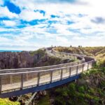 Christchurch to Franz Josef Tour with TranzAlpine (1 way) - Transportation, Timing, and Value