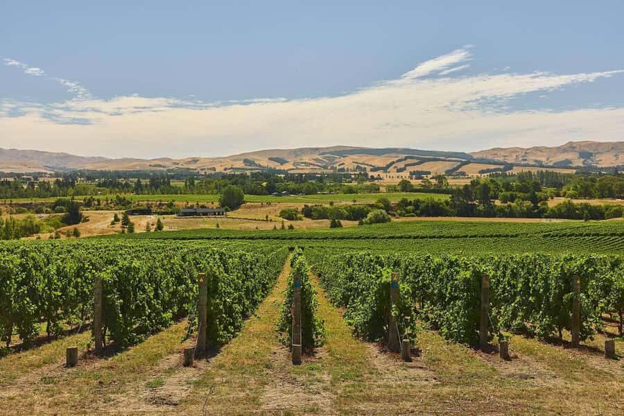 Christchurch Waipara Valley Private Wine Tour - Who Should Consider This Tour?