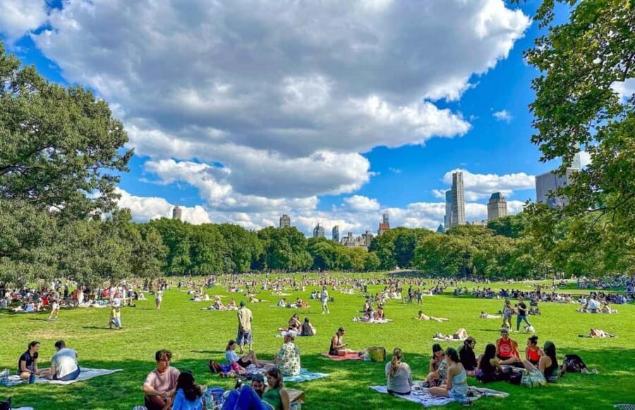 Christmas in Central Park: Horse Carriage Holiday Tour - The Itinerary Breakdown