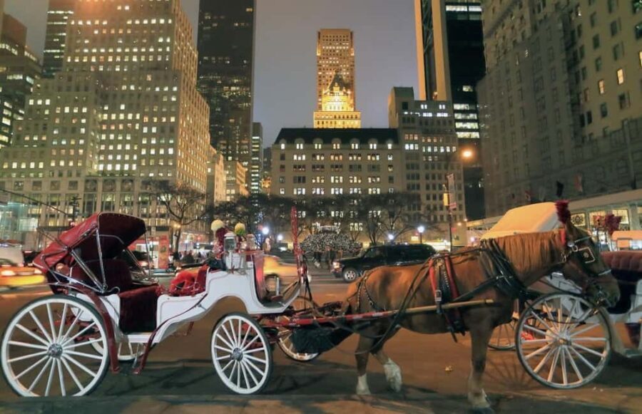 Christmas in New York: Holiday Lights Horse Carriage Ride - Comfort, Convenience, and Expert Guidance