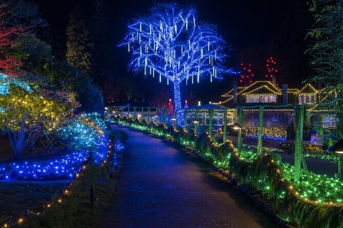 Christmas Lights Tour Butchart Gardens & City Tour in Victoria BC - Authentic Traveler Insights & Review Highlights