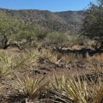 Chrysotile, AZ: Off-Road Adventure Gleason Flat - Salt River - The Drive: Canons, Forests, and Mountain Passes