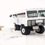 Churchill: Exclusive Tundra Buggy Day Trip - Who Will Love This Tour?