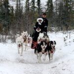 Churchill Polar Bear Experience  5-Night Classic Tour - Pricing and Value